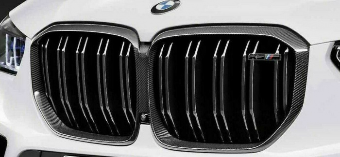 Карбоновая решетка M Performance для BMW X5M F95 » 51712467261